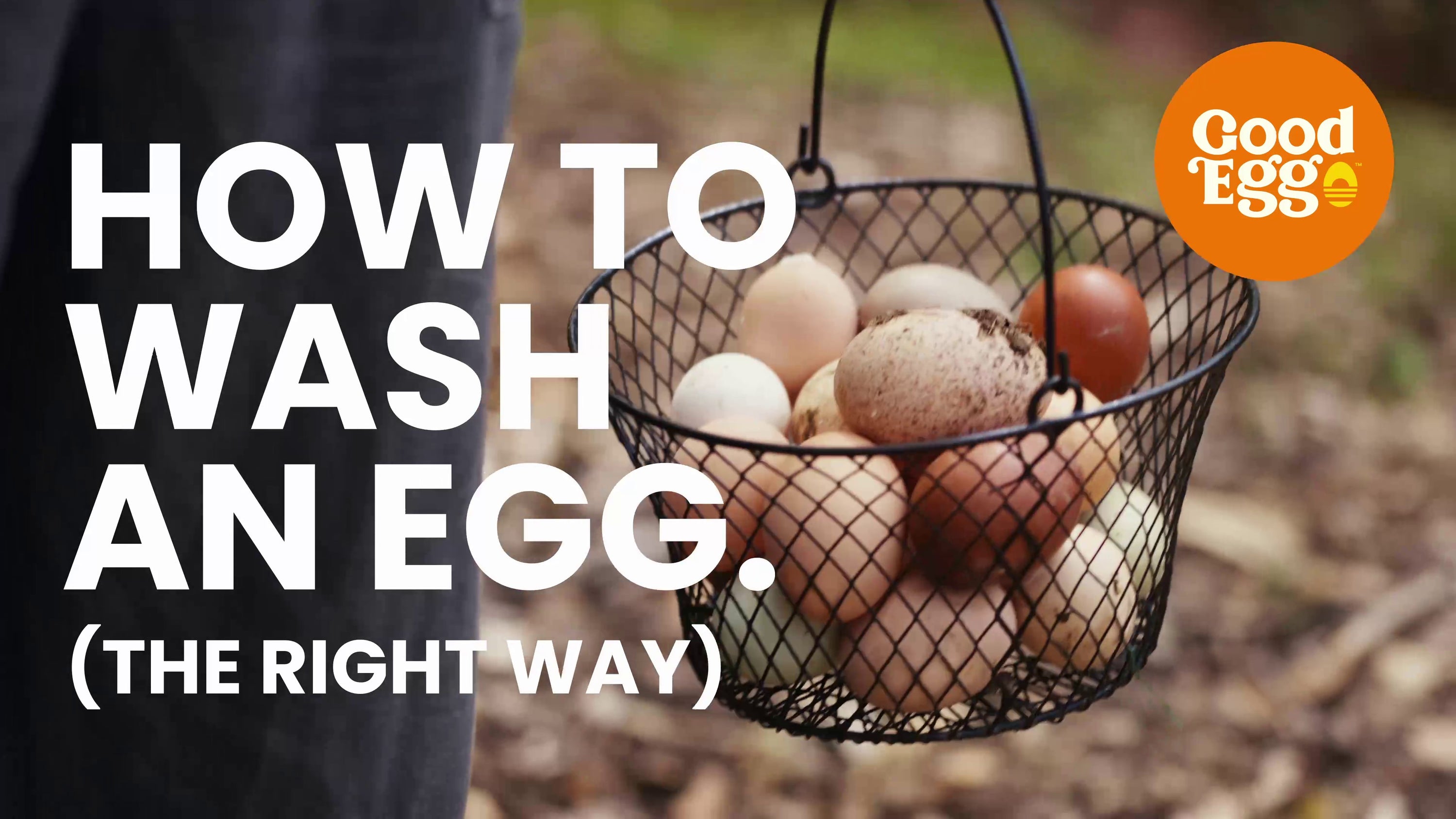 Best Way to Wash your Eggs in 2025 – GoodEggStuff